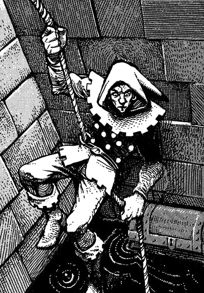 Backordered: Shadowdark RPG (Print + PDF) - The Arcane Library